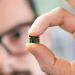 Plant Based Product Examples | Plant Based Products Council