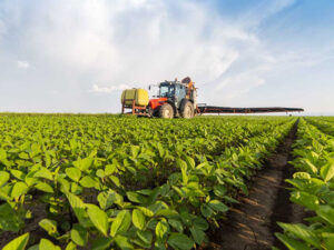 Plant Based Product Examples | Plant Based Products Council