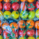 Plant Based Product Examples | Plant Based Products Council