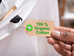 Plant Based Product Examples | Plant Based Products Council