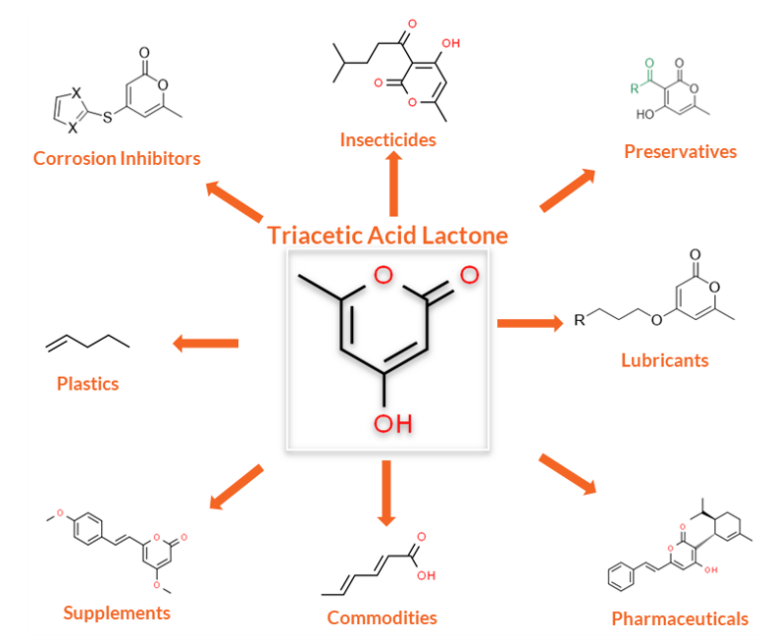 Plant-Based Leaders | Brent H. Shanks