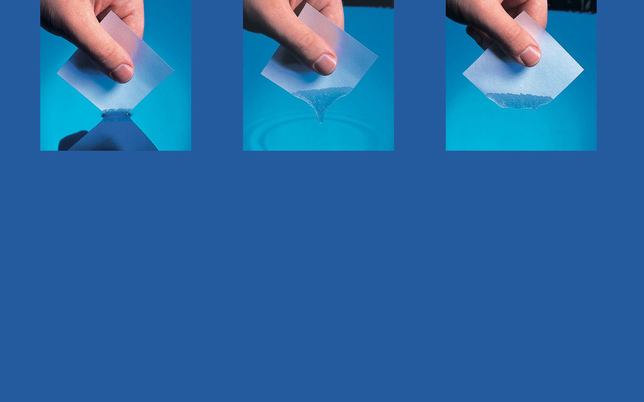 Plant-Based Leaders | SmartSolve | Plant Based Products Council