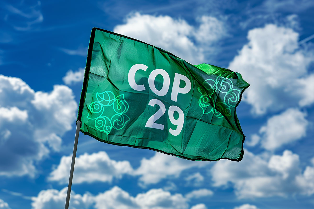 Plant-based Product Champions Look to COP29 and Future Policy ...