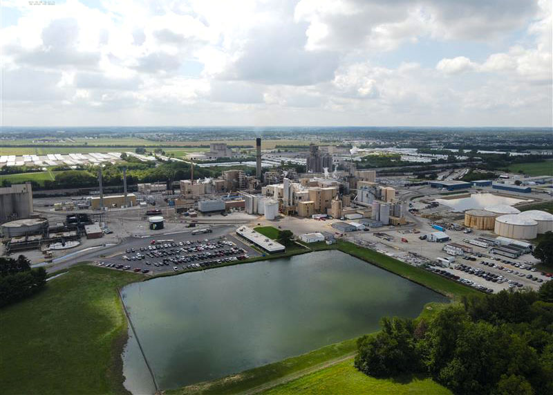 Plant-Based Leaders | Sustainea | Plant Based Products Council